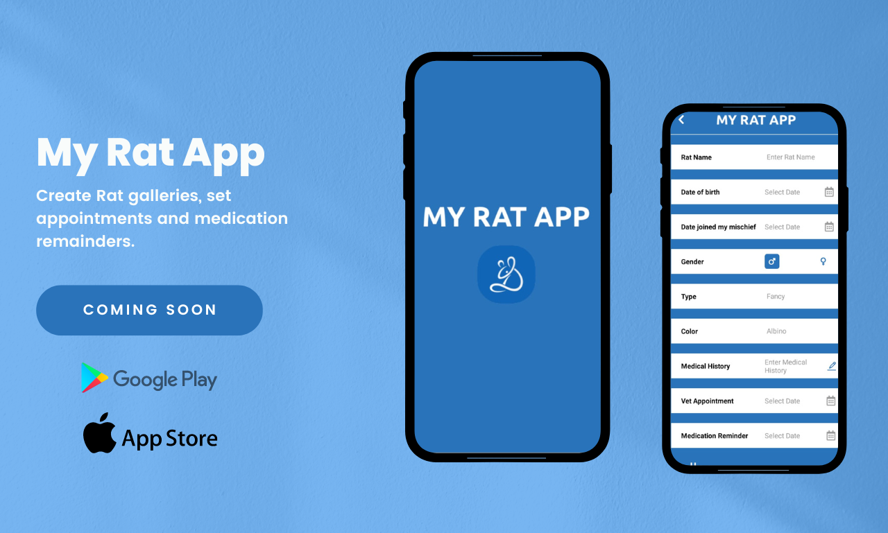 My Rat App - Kashif Mahmood - KM